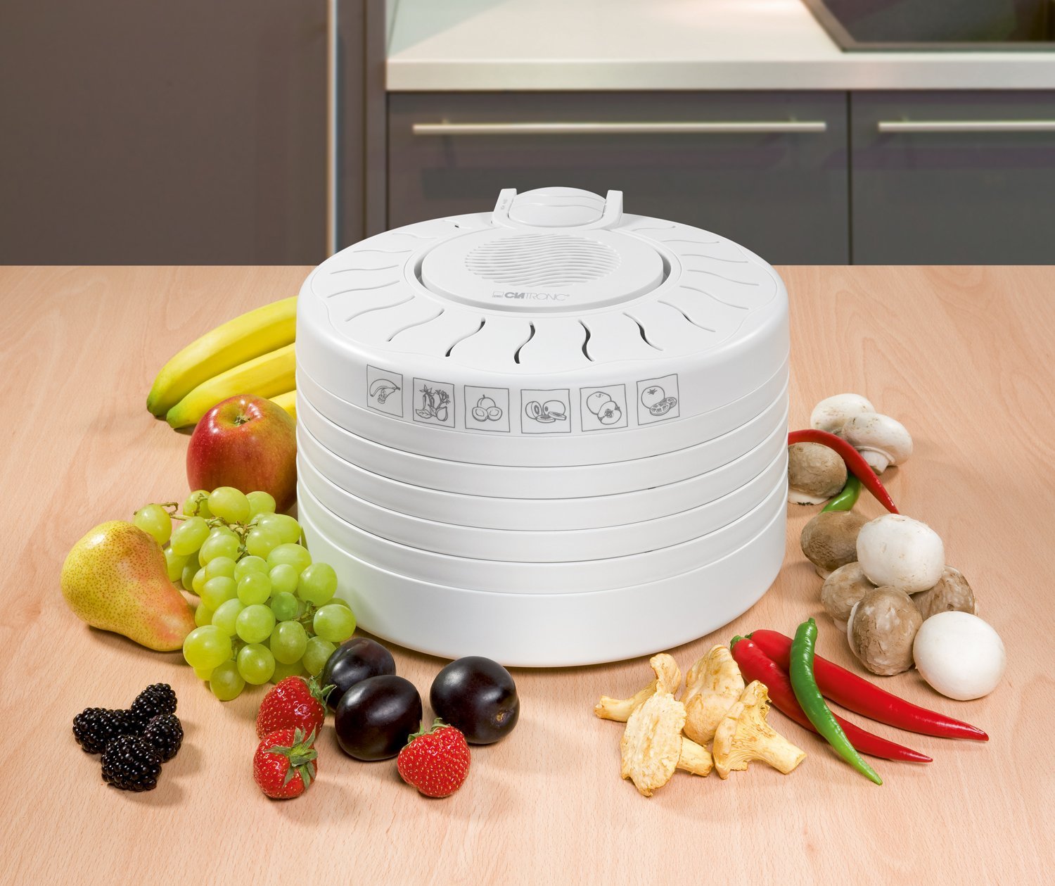 Los 4 Mejores Deshidratadores de Alimentos Calidad Precio
